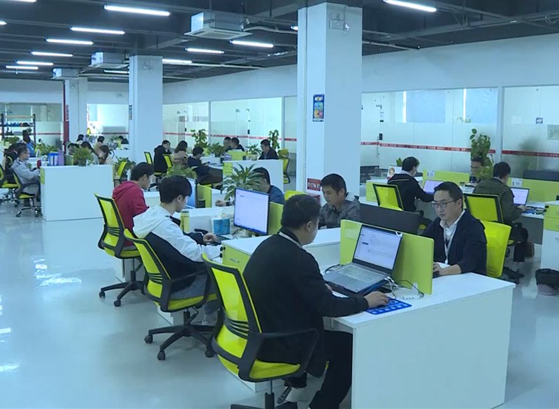 BMS-custom - lev power solution